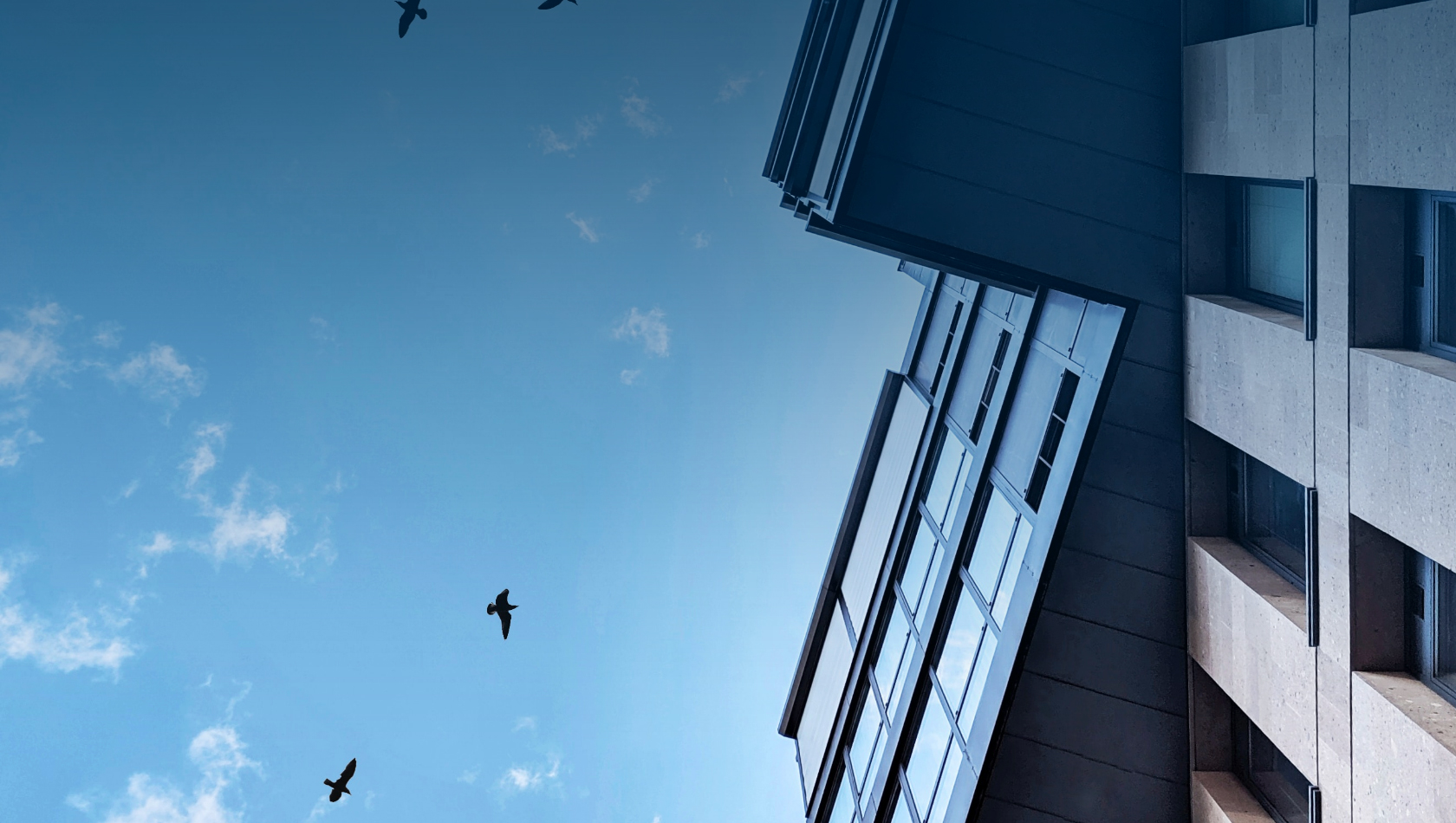 Real Estate & Property Industry Insights | Brit